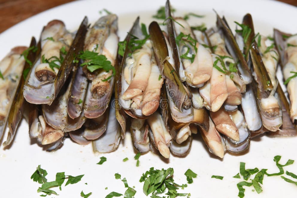 Razor shell stock photo. Image of cooked, heap, seafood - 85373618