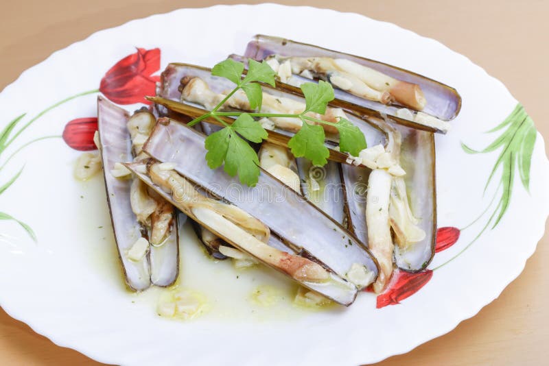 Razor shellfish stock photo. Image of closeup, mollusk - 50039074