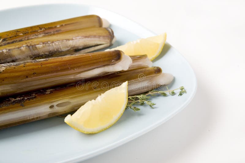 Razor shells shellfish stock image. Image of lemon, dish - 11359809