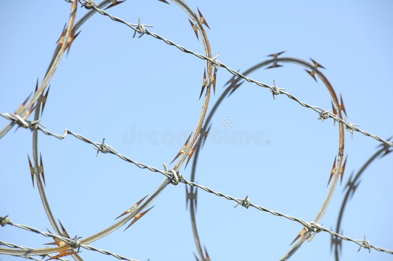 Razor Wire 1 stock image. Image of rural, barbed, freedom - 1338559