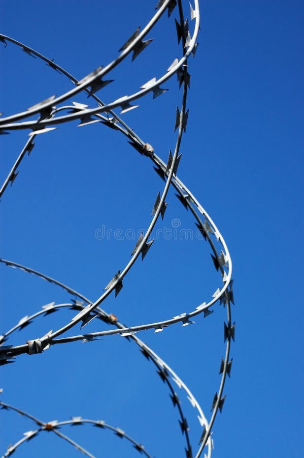 Razor Wire stock image. Image of safety, wire, portrait - 12217031