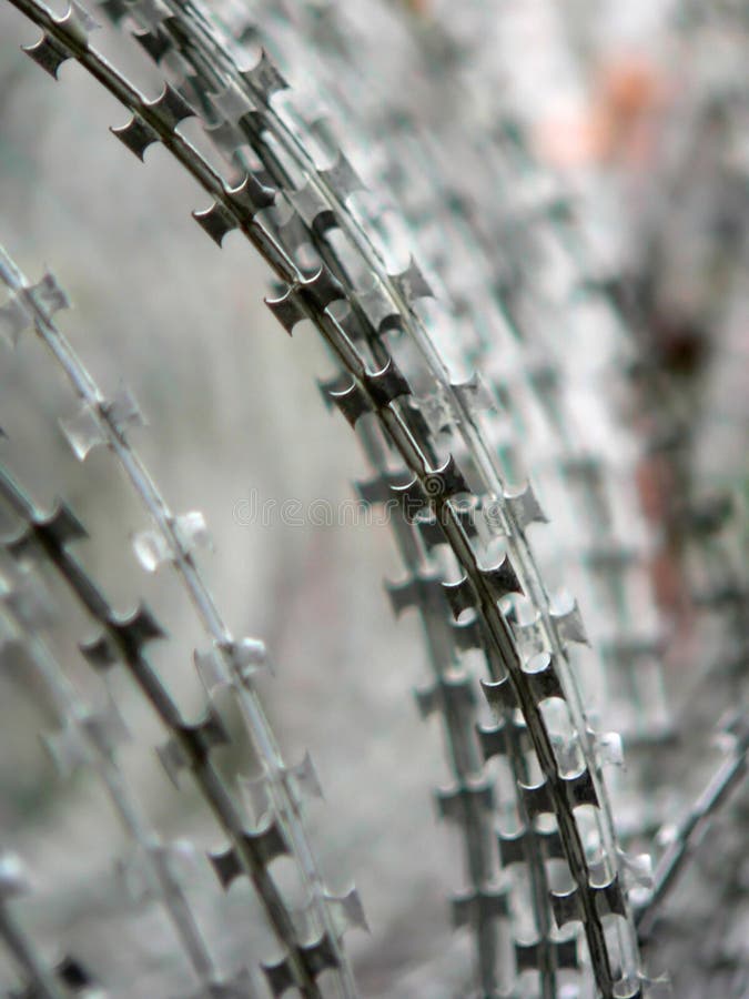 Razor wire stock image. Image of guard, military, knife - 312509