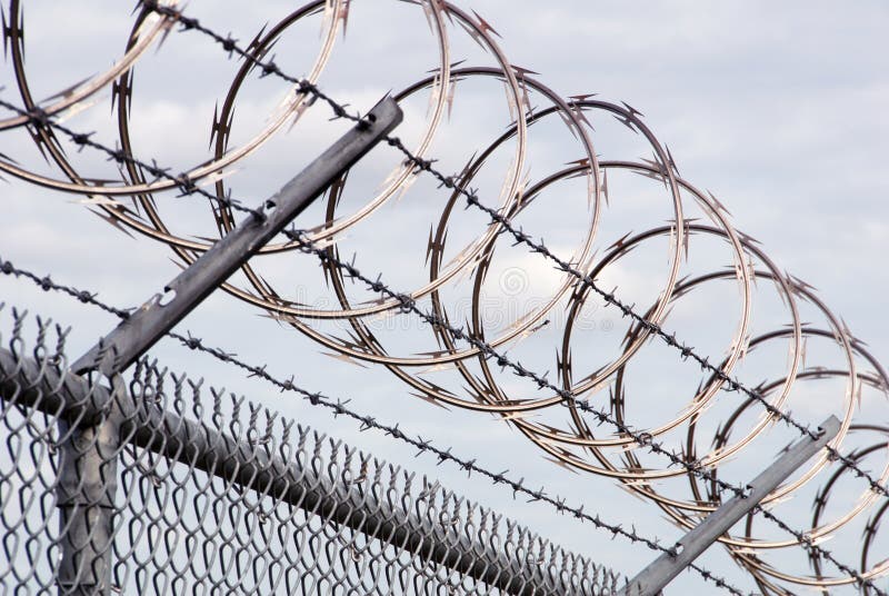 Razor Wire stock photo. Image of camp, security, sharp - 8252176