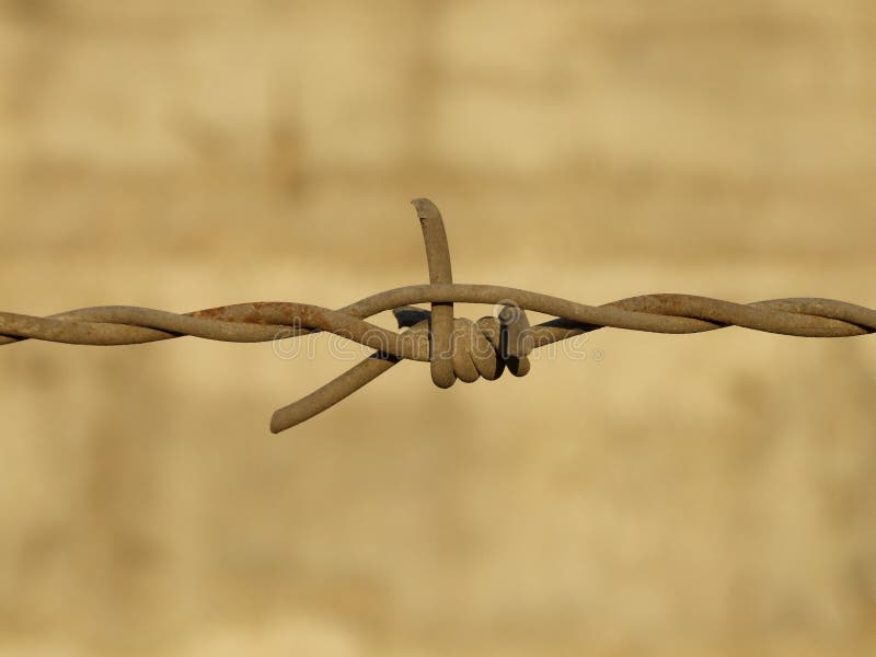 Razor wire stock photo. Image of blur, abstract, close - 40234824