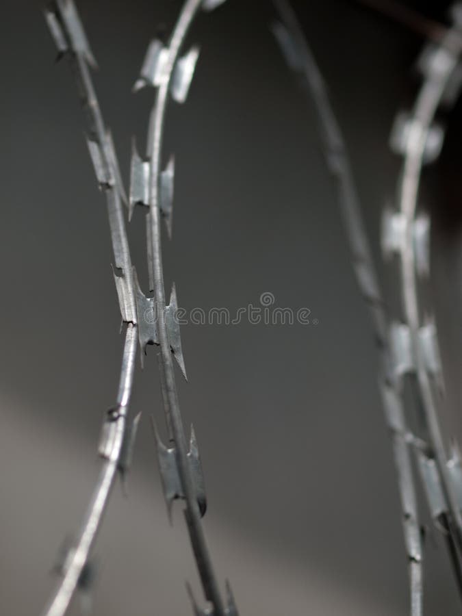Razor wire stock image. Image of property, gaol, cutting - 82517637