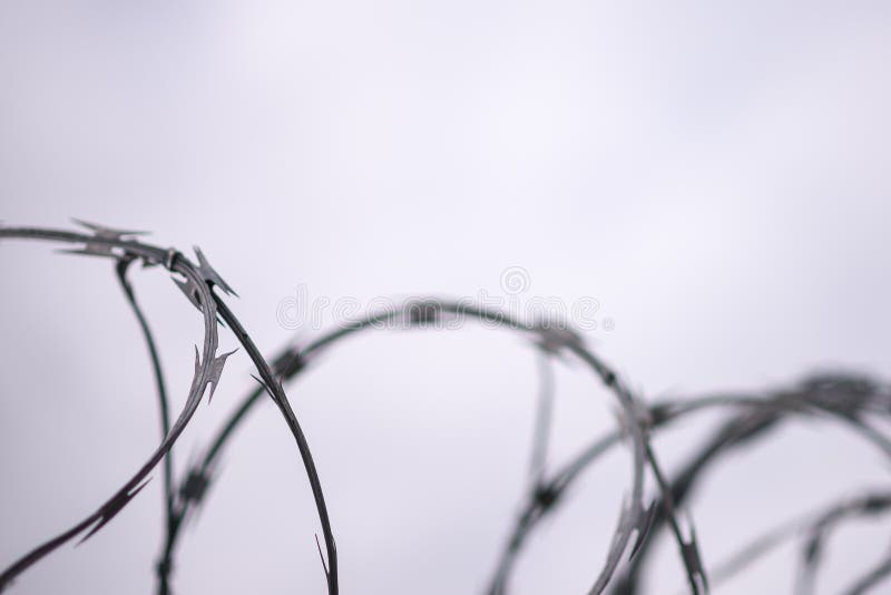 Razor wire at prison stock photo. Image of jail, crime - 99844260