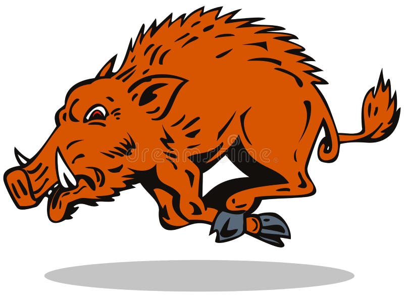 Razorback stock illustration. Illustration of isolated - 6347173