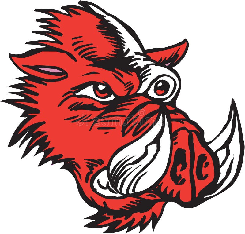 Razorback Head Vector Illustration Stock Vector - Illustration of tusks ...