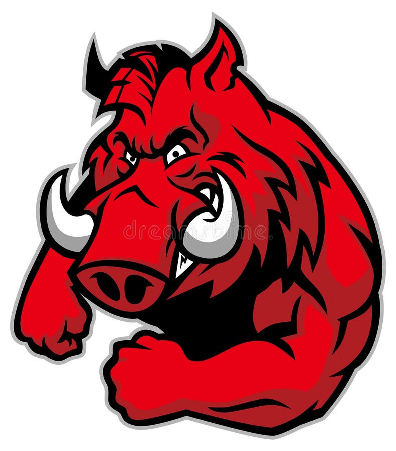 Razorback mascot stock vector. Illustration of proud - 45673508