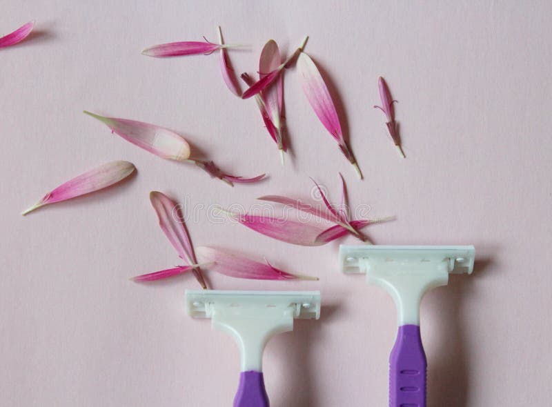 Razors stock image. Image of nature, razors, flower, sharp - 95210589