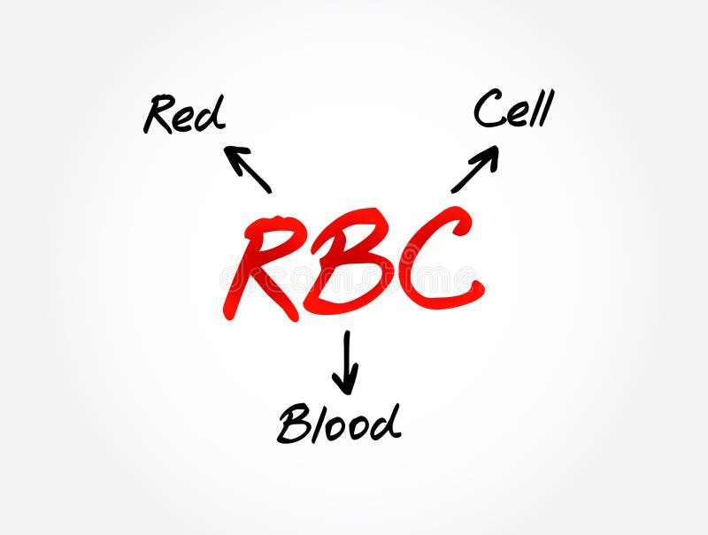RBC - Red Blood Cell Acronym, Concept Background Stock Photo - Image of ...
