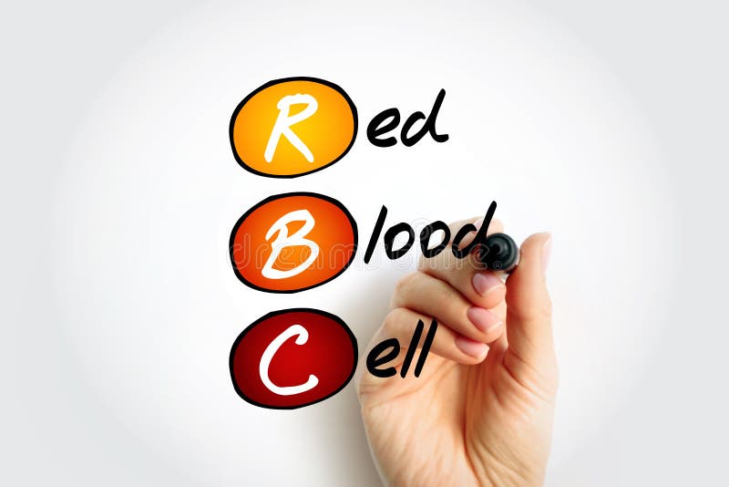 Rbc Red Blood Cell Acronym Concept Background Stock Photos - Free ...