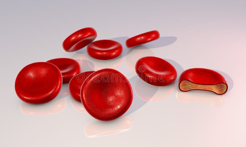 RBCs Et à Section Transversale De La Globule Rouge Illustration Stock ...