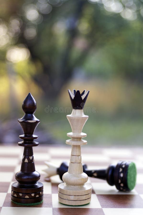 Pezzi Degli Scacchi Re Bianco E Regina Nera Immagine Stock - Immagine ...