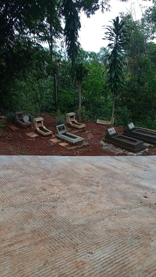 This a reace in piece stock photo. Image of life, reace - 331514568