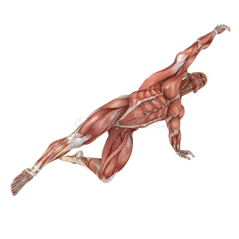 Reach stock illustration. Illustration of people, chest - 40304914