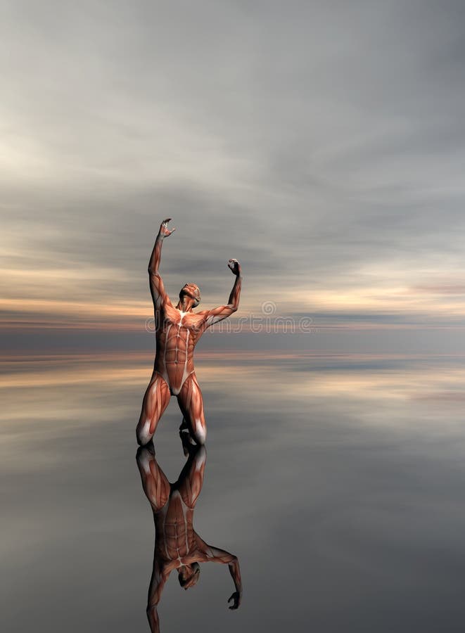 Reaching to the Sky stock image. Image of muscle, accomplishment - 624935