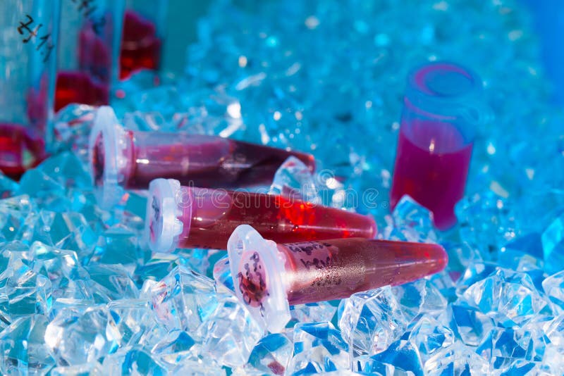 Reaction plastic tube stock photo. Image of equipment - 29706760