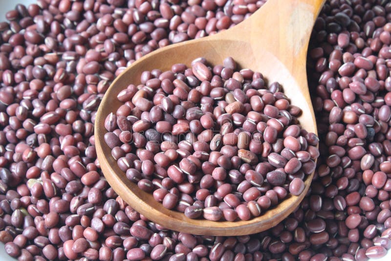 Read Bean Close up stock photo. Image of fiber, macro - 45585188