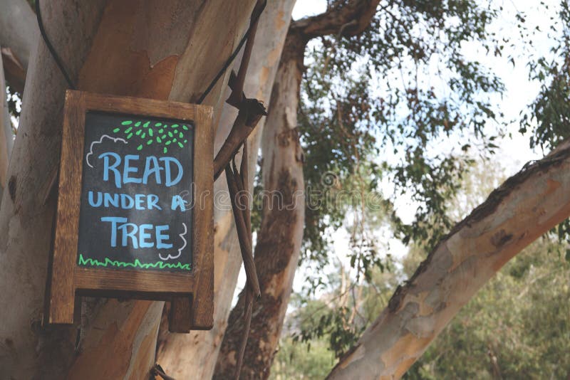 Read Under a Tree Signage Hanging on Branch Tree Stock Image - Image of ...