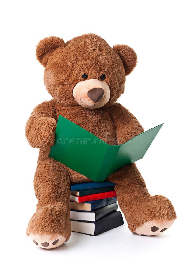 Reading Bear with Clipping Path Stock Image - Image of class, cultural ...