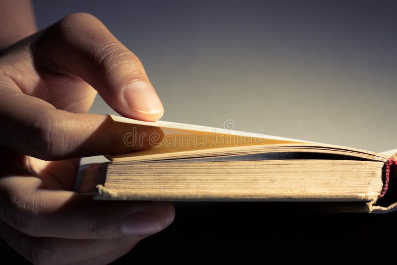 Reading book stock image. Image of novel, studying, literature - 36760983