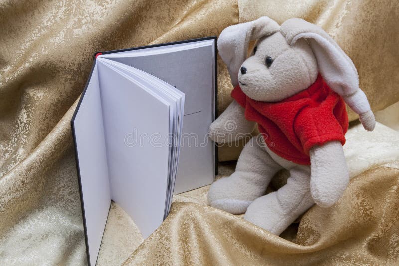 A bunny reading a book stock photo. Image of people, book - 48467546
