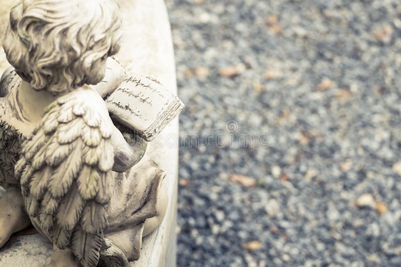 Reading Cupid stock photo. Image of angel, figure, blank - 59473736