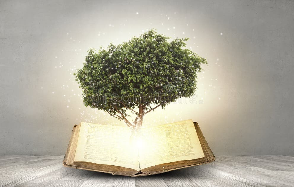 Reading Develops Imagination Stock Photo - Image of imaginary, wisdom ...