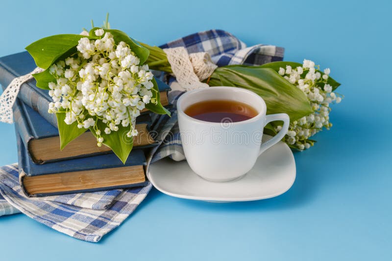 Reading in the morning stock photo. Image of blue, lifestyle - 72055466