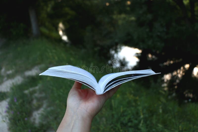 Reading Outdoor stock photo. Image of open, green, cosy - 220474342