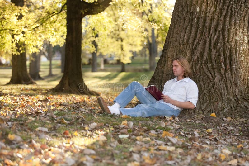 Reading outdoors stock photo. Image of peaceful, park - 16763310
