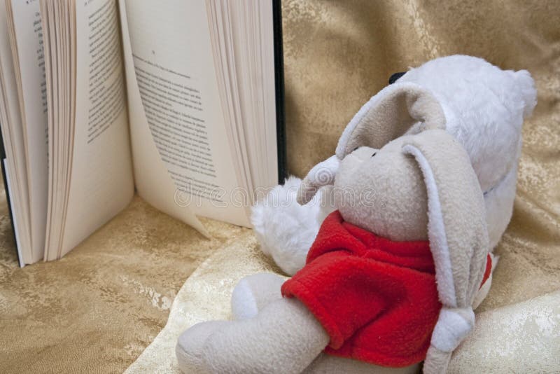 Teddy Bear and Bunny Reading a Book Stock Photo - Image of children ...