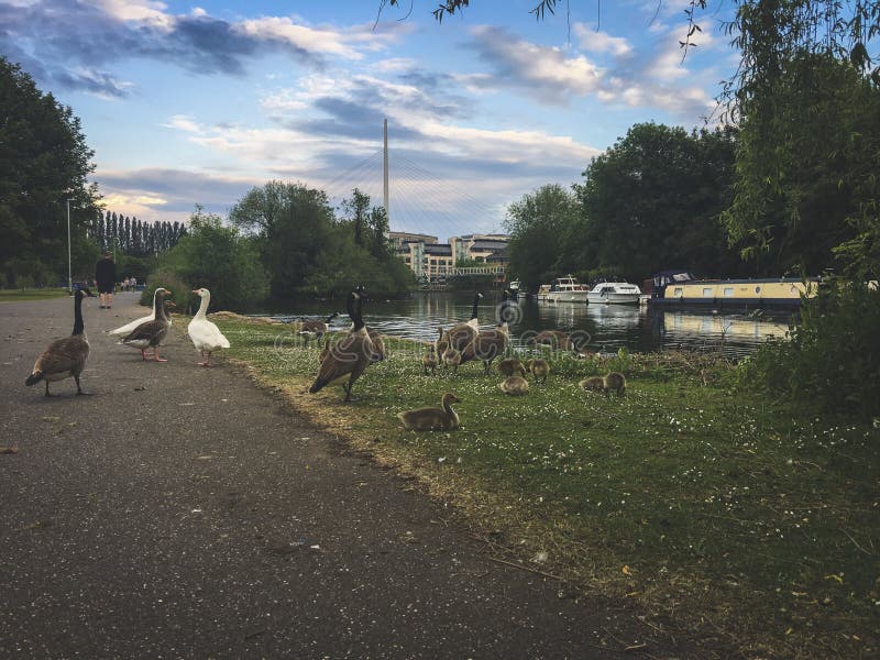 Reading Town Centre stock photo. Image of natural, reading - 155160376