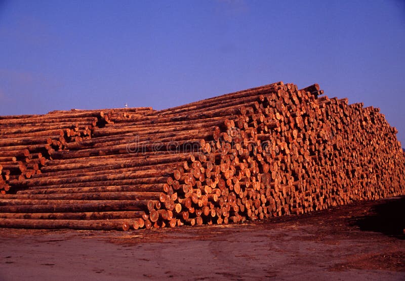 Imported Lumber Stock Photos - Free & Royalty-Free Stock Photos from ...