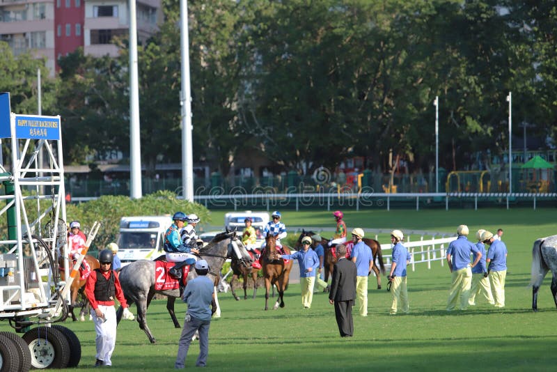 Ready of the Horse Racing at the Start Point Editorial Stock Image ...