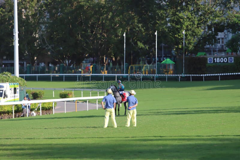 Ready of the Horse Racing at the Start Point Editorial Image - Image of ...