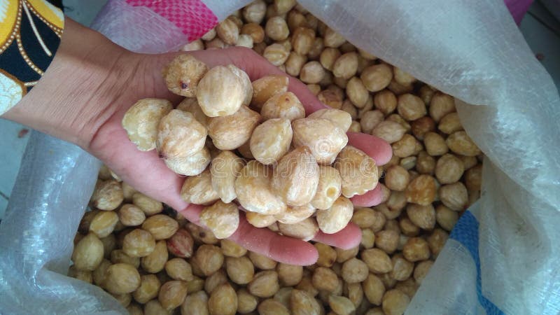 Bulay Stock Photos - Free & Royalty-Free Stock Photos from Dreamstime