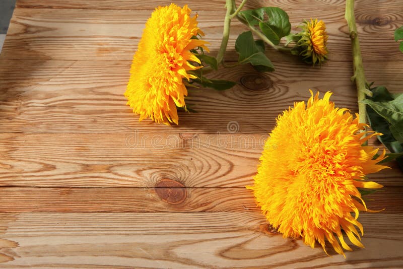 Ready-made Background or Greeting Card for Christmas. Stock Image ...