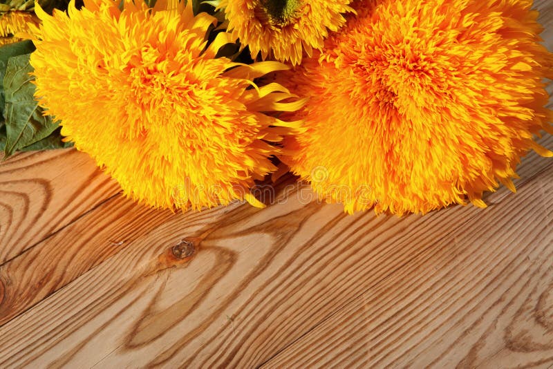 Ready-made Background or Greeting Card for Christmas. Stock Image ...