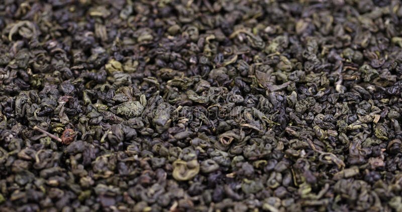 Ready for Making Green Tea Dried High-quality Tea Leaves Stock Video ...