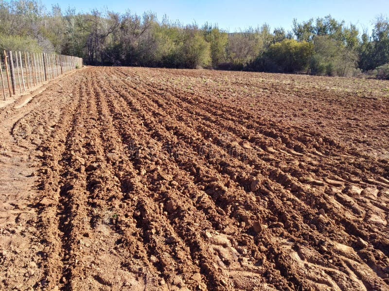 Farm stock image. Image of planting, ready, brown, lusern - 109723715