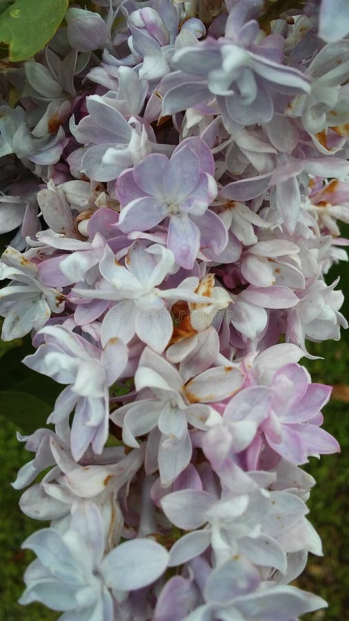 Ready for spring stock image. Image of spring, smiling - 363409