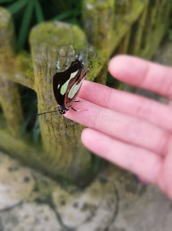 Ready for take off stock photo. Image of beautiful, travel - 127590130