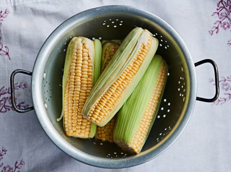 Ready To Be Cooked. High Angle Shot of Corn Cobs in a Colander on a ...