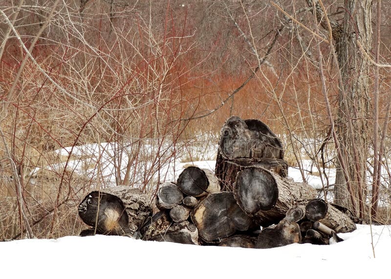 Ready to burn stock photo. Image of snow, snowy, burn - 62850444