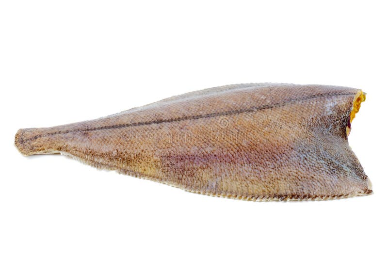 Fresh Flatfish in Outdoor Market Stock Image - Image of fishes ...