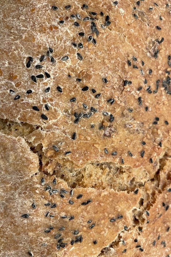 Ready to eat fresh bread stock photo. Image of fresh - 223592672