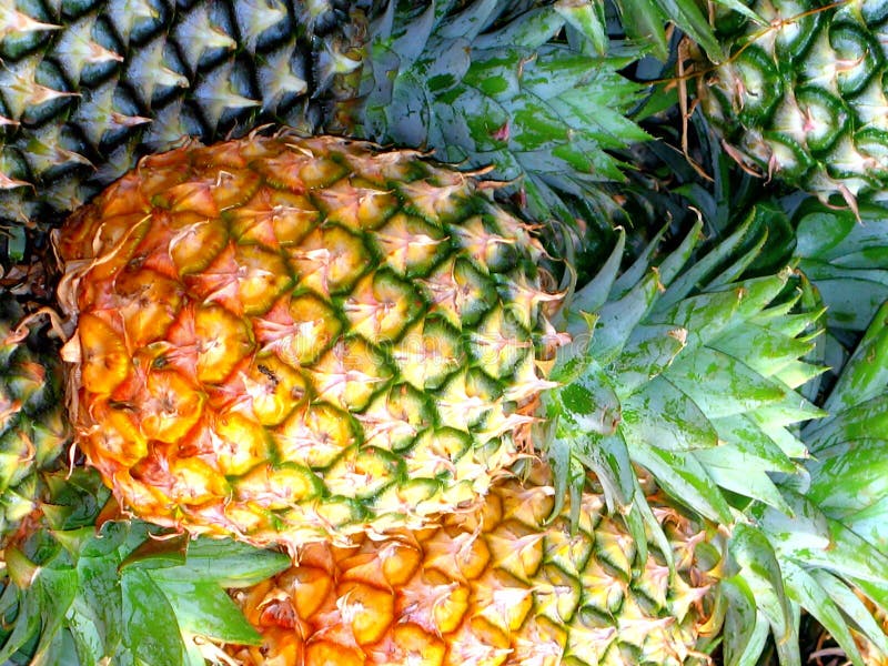 57,993 Colorful Pineapple Stock Photos - Free & Royalty-Free Stock ...