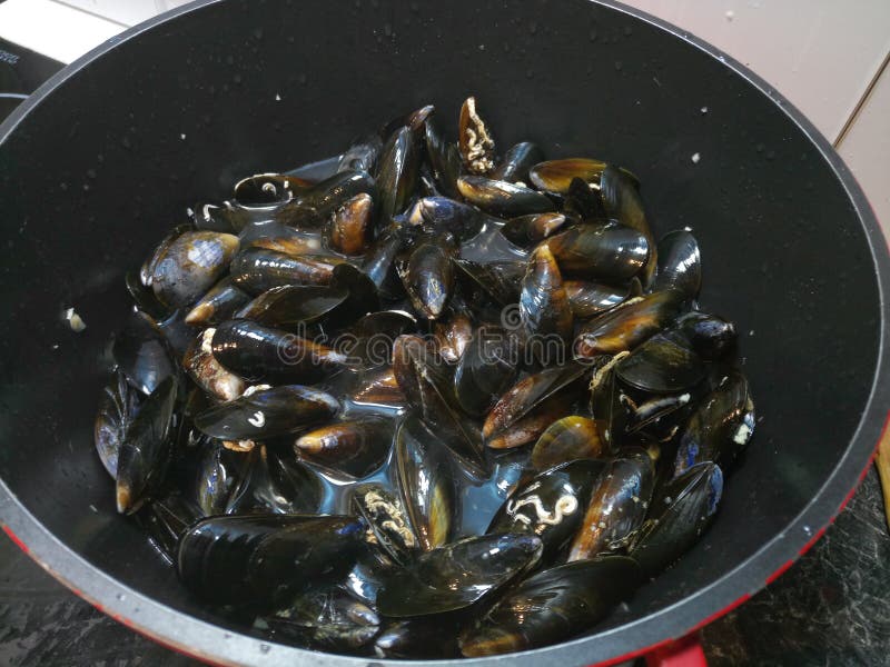 Opened Cooked Mussels in a Pot Stock Image - Image of mussels, cooked ...